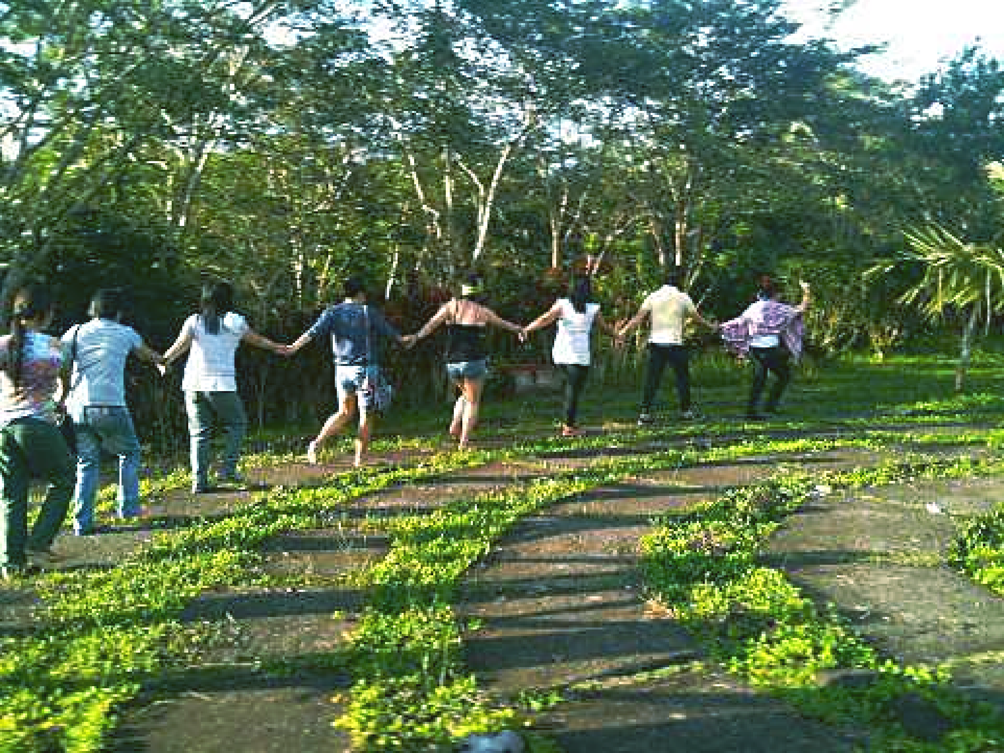 Cosmic Healer-Earth Healing